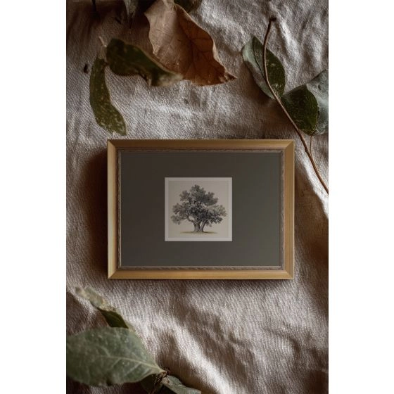 Silent Wisdom Wall Art | Linen Chest